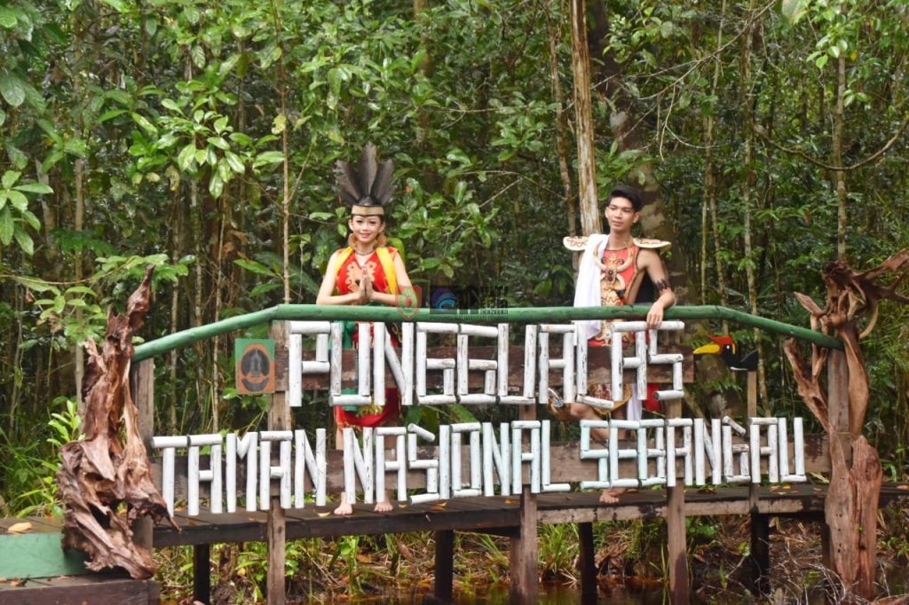 Taman Nasional Sebangau (Punggualas) - Berwisata